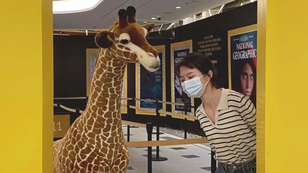 经验谈No.167 | 首封UCL 24fall offer 被老八校建筑学姐斩获：考研的一分之差让我选择了留学