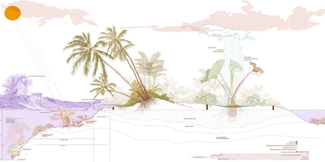 Show Time！UCL巴院景观专业Autumn Show开展！(内含13-23年yearbook)